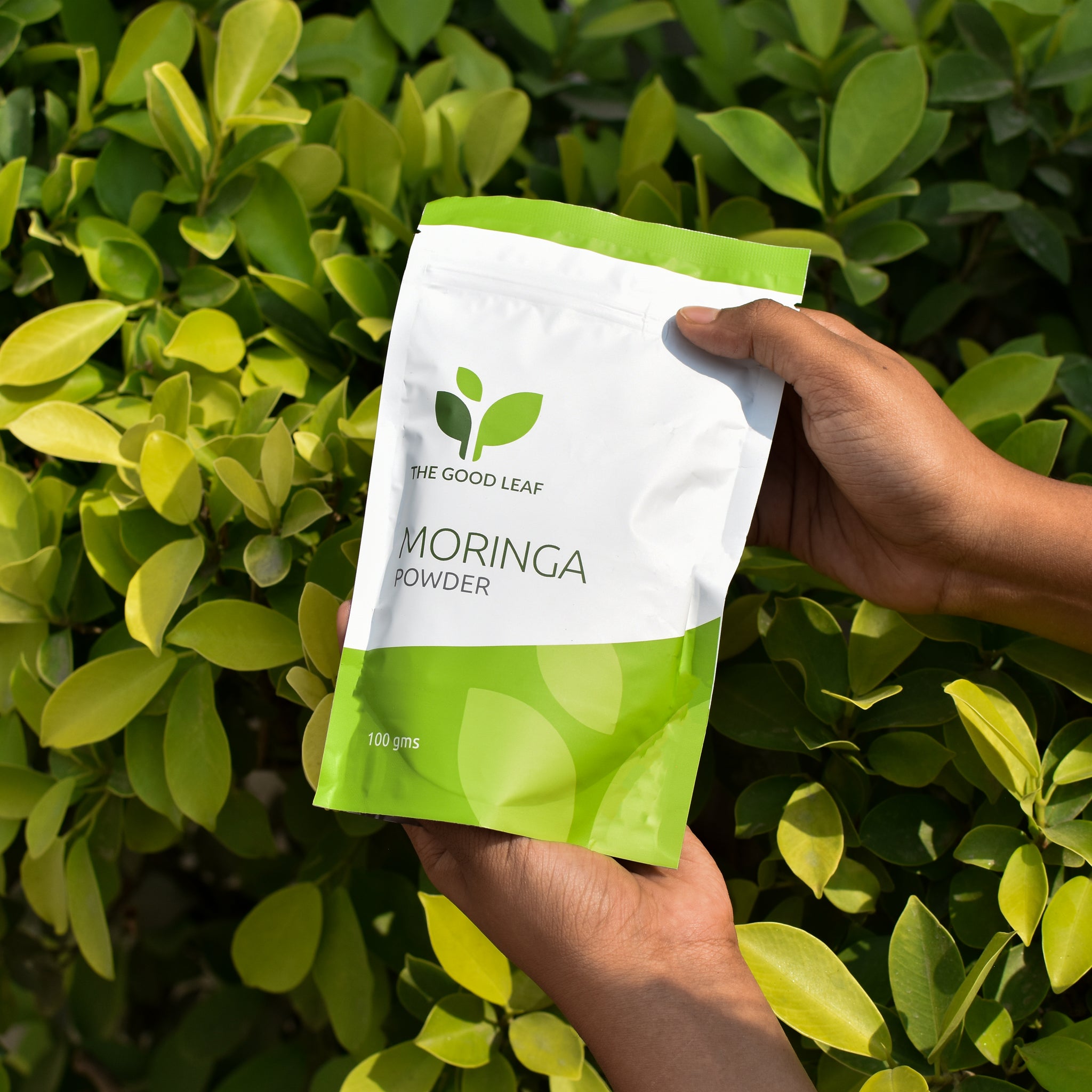 Buy Moringa Powder Online at Best Price in India | The Good Leaf